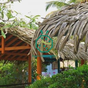 Best Synthetic Cogon Thatch Roofing For Bahay Kubo,China Synthetic ...