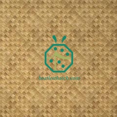 Best Interior Wall And Ceiling Design Artificial Pandanus Matting,China ...